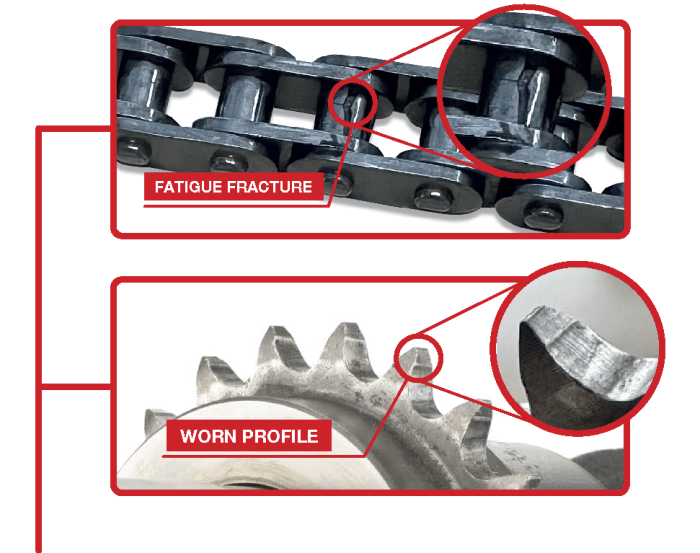 BGA | DV5 Engine Upgrade